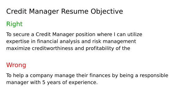 Top 18 Credit Manager Resume Objective Examples | ResumeCat