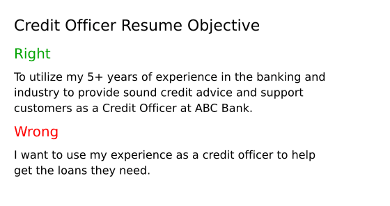 Top 17 Credit Officer Resume Objective Examples | ResumeCat