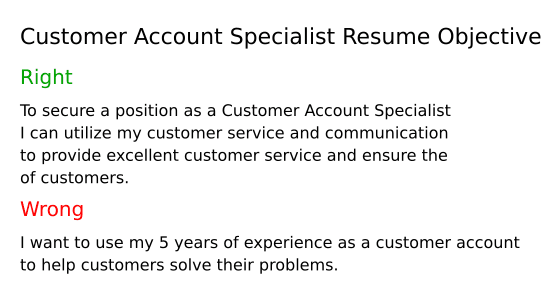 Top 17 Customer Account Specialist Resume Objective Examples