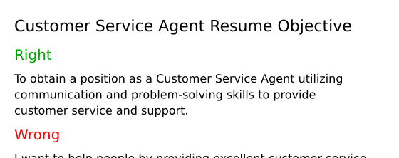 Top 17 Customer Service Agent Resume Objective Examples