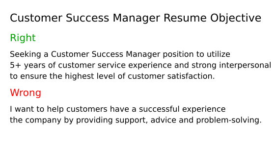 Top 16 Customer Success Manager Resume Objective Examples