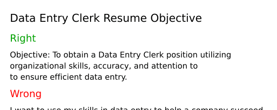 Top 17 Data Entry Clerk Resume Objective Examples