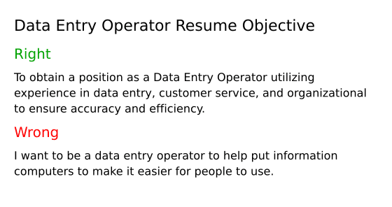 Top 17 Data Entry Operator Resume Objective Examples