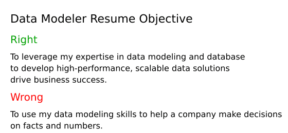 Top 16 Data Modeler Resume Objective Examples | ResumeCat
