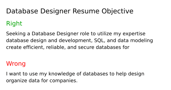 Top 17 Database Designer Resume Objective Examples