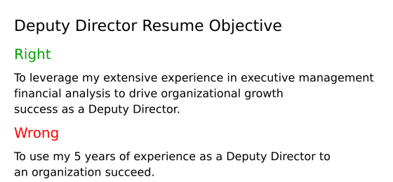 Top 16 Deputy Director Resume Objective Examples | ResumeCat