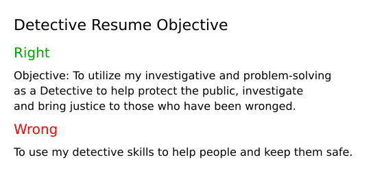 Top 18 Detective Resume Objective Examples | ResumeCat