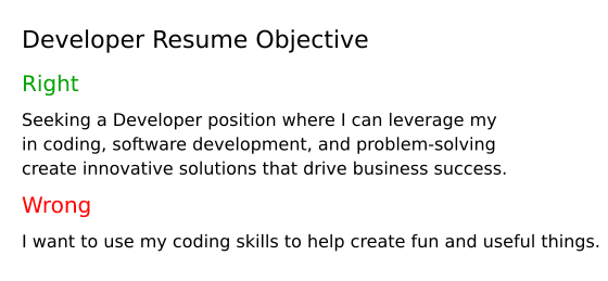 Top 16 Developer Resume Objective Examples | ResumeCat