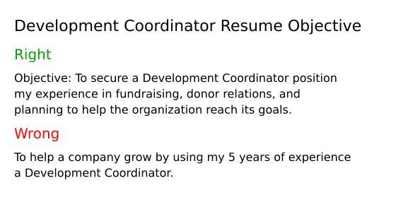 Top 18 Development Coordinator Resume Objective Examples