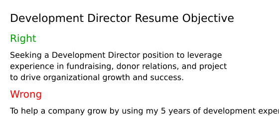 Top 18 Development Director Resume Objective Examples