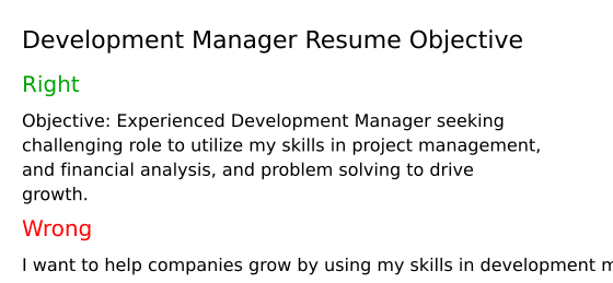 Top 17 Development Manager Resume Objective Examples