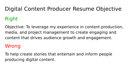 Top 17 Digital Content Producer Resume Objective Examples