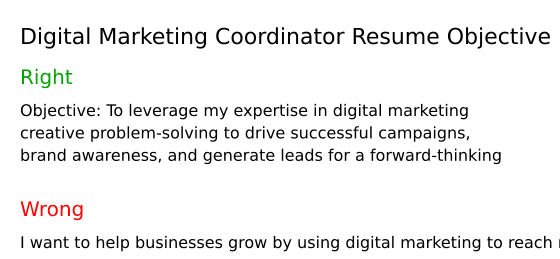 Top 16 Digital Marketing Coordinator Resume Objective Examples