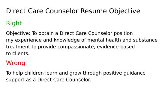 Top 18 Direct Care Counselor Resume Objective Examples