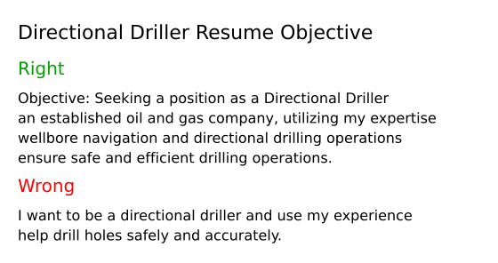 Top 18 Directional Driller Resume Objective Examples