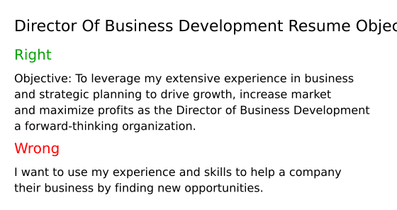 Top 18 Director Of Business Development Resume Objective Examples
