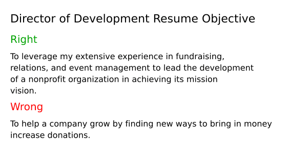 Top 18 Director of Development Resume Objective Examples