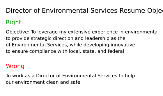 Top 16 Director of Environmental Services Resume Objective Examples