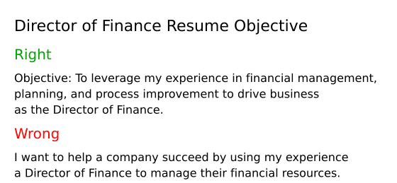 Top 17 Director of Finance Resume Objective Examples