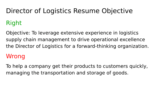 Top 18 Director of Logistics Resume Objective Examples