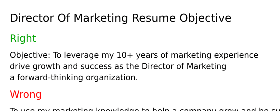 Top 16 Director Of Marketing Resume Objective Examples