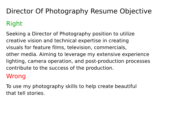 Top 18 Director Of Photography Resume Objective Examples