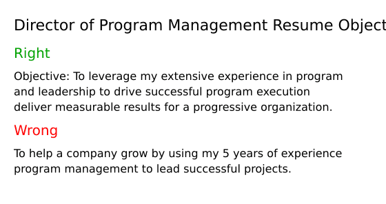 Top 16 Director of Program Management Resume Objective Examples