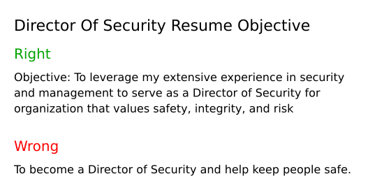 Top 16 Director Of Security Resume Objective Examples