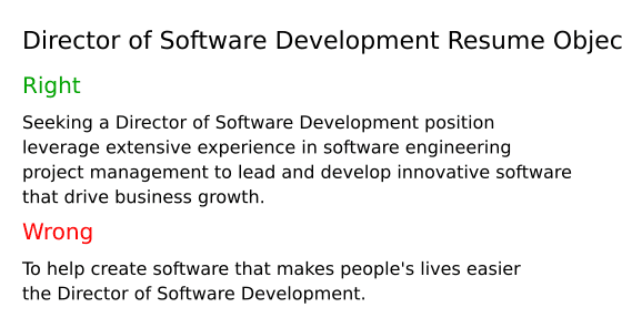 Top 17 Director of Software Development Resume Objective Examples