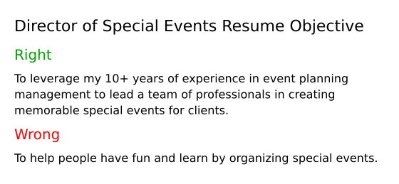 Top 18 Director of Special Events Resume Objective Examples