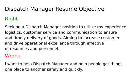 Top 18 Dispatch Manager Resume Objective Examples