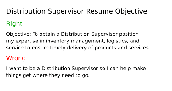 Top 16 Distribution Supervisor Resume Objective Examples