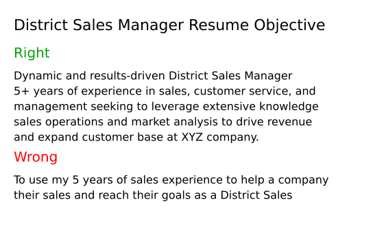 Top 18 District Sales Manager Resume Objective Examples