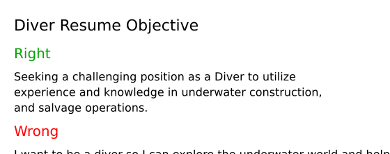 Top 16 Diver Resume Objective Examples | ResumeCat