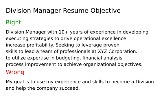 Top 16 Division Manager Resume Objective Examples