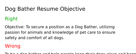 Top 17 Dog Bather Resume Objective Examples | ResumeCat