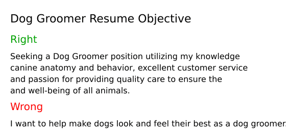 Top 17 Dog Groomer Resume Objective Examples | ResumeCat