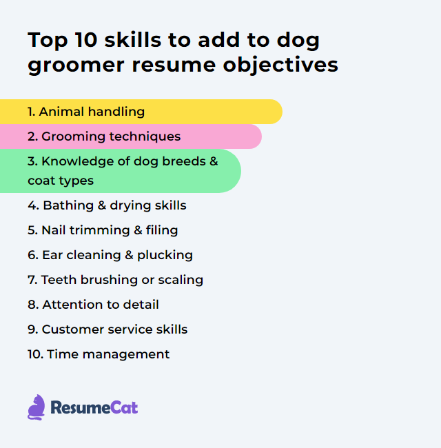 Can You Be A Dog Groomer Without Qualifications