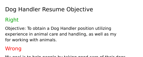 Top 18 Dog Handler Resume Objective Examples | ResumeCat
