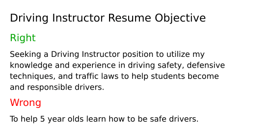 Top 17 Driving Instructor Resume Objective Examples