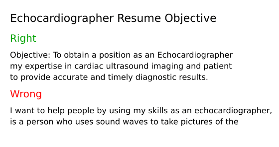 Top 17 Echocardiographer Resume Objective Examples
