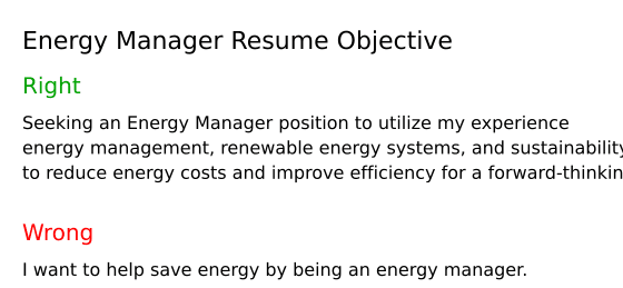Top 18 Energy Manager Resume Objective Examples | ResumeCat