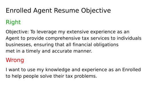 Top 18 Enrolled Agent Resume Objective Examples | ResumeCat
