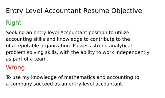 Top 17 Entry Level Accountant Resume Objective Examples
