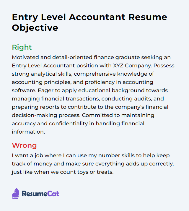 Top 17 Entry Level Accountant Resume Objective Examples