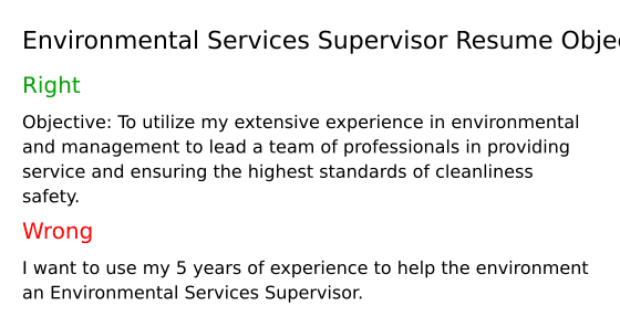 Top 17 Environmental Services Supervisor Resume Objective Examples