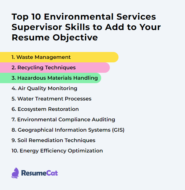 Top 17 Environmental Services Supervisor Resume Objective Examples