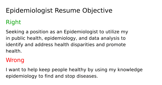 Top 18 Epidemiologist Resume Objective Examples | ResumeCat