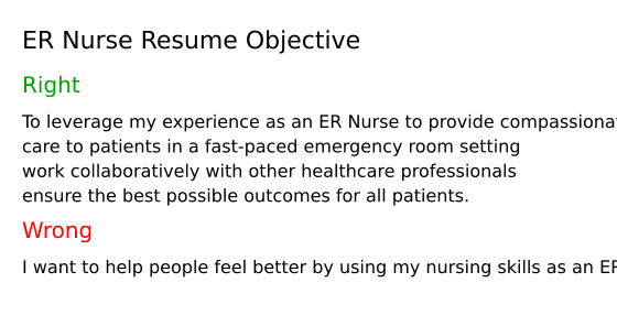 Top 16 ER Nurse Resume Objective Examples | ResumeCat