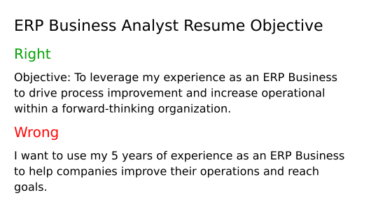 Top 17 ERP Business Analyst Resume Objective Examples